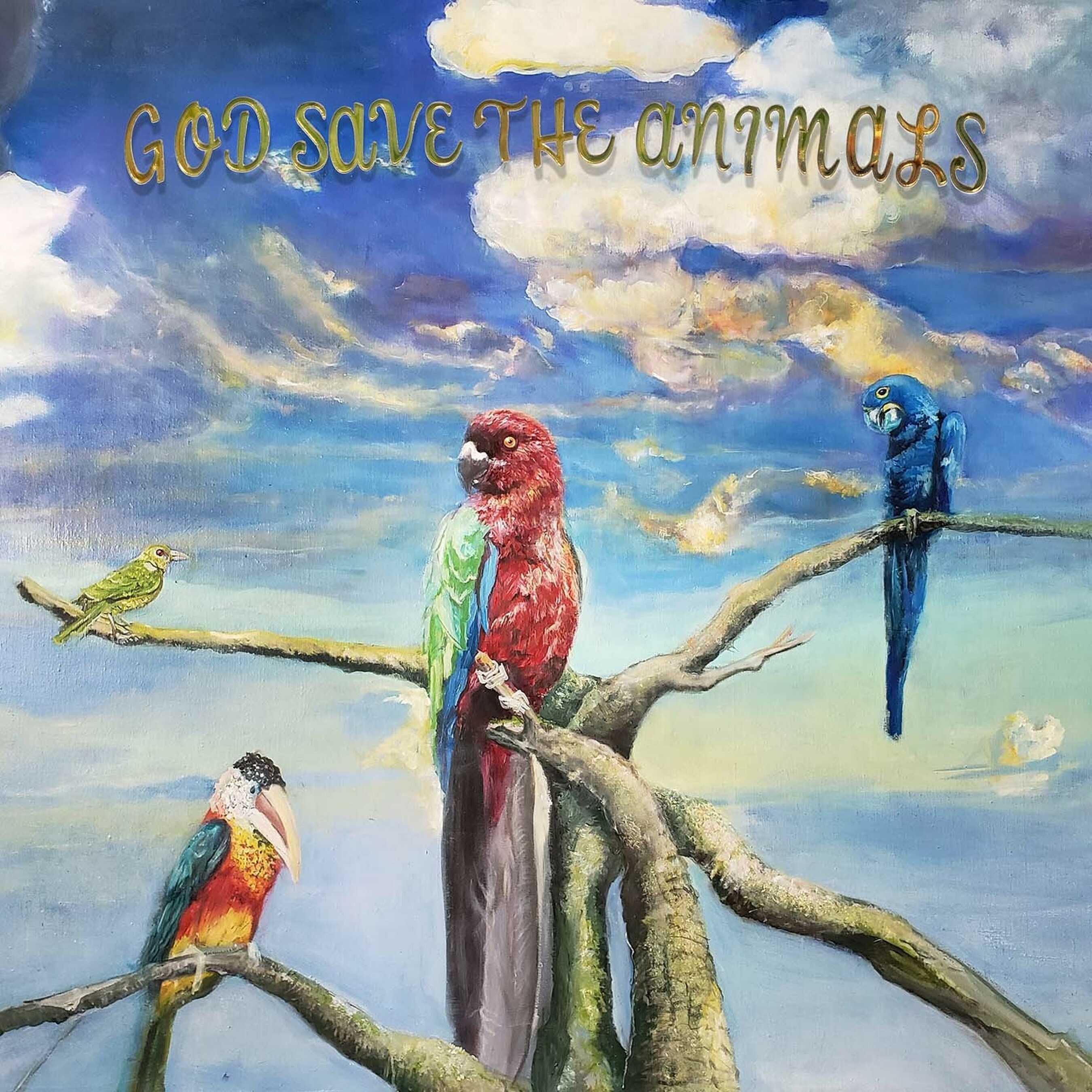 Alex G God Save The Animals Review DIY Magazine Alex G God Save The Animals Review DIY Magazine
